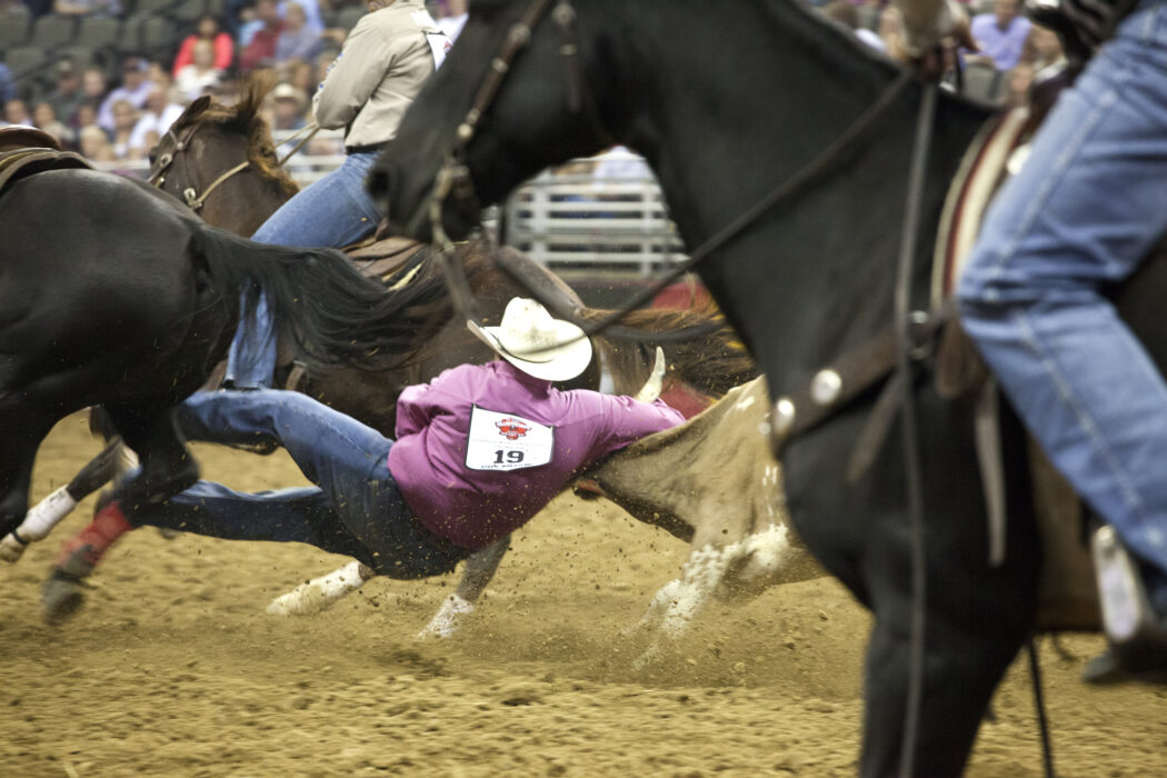 DRU, RODEO STEER WRESTLING, OMAHA 2015 – Janette Beckman